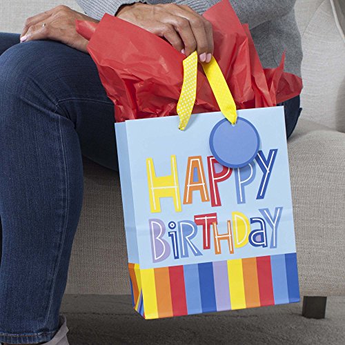 Hallmark 9" Medium Gift Bag with Tissue Paper (Happy Birthday, Rainbow Stripes on Light Blue)