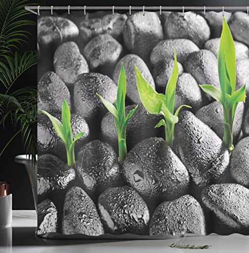 Ambesonne Plant Shower Curtain, Basalt Stones with Bamboo Leaves Sticking Water Droplets Harmony of Nature, Cloth Fabric Bathroom Decor Set with Hooks, 69" W x 75" L, Dark Taupe Lime Green