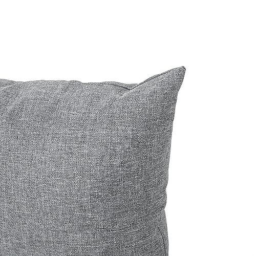 Christopher Knight Home Coronado Outdoor Water Resistant Square Throw Pillows, 2-Pcs Set, Grey