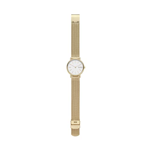 Skagen Women's Signatur Quartz Analog Stainless Steel and Stainless Steel Mesh Watch, Color: Gold / White (Model: SKW2693)