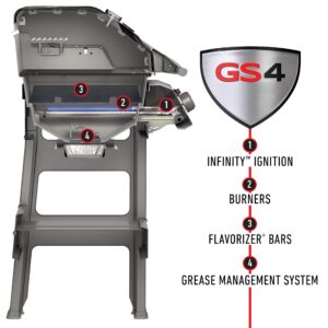 Weber Spirit II E-310 3-Burner Natural Gas Grill, Black