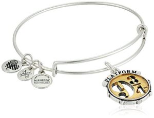 alex and ani harry potter platform two tone bangle bracelet