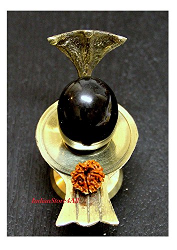 IndianStore4All Shaligram Shiva Ling Lingam Shivling Statue Hindu Puja Stand 5 Mukhi Rudraksha