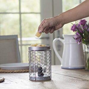 CANDLE WARMERS ETC. Vintage Bulb Illumination Fragrance Warmer- Light-Up Warmer for Warming Scented Candle Wax Melts and Tarts to Freshen Room, Chicken Wire Silver