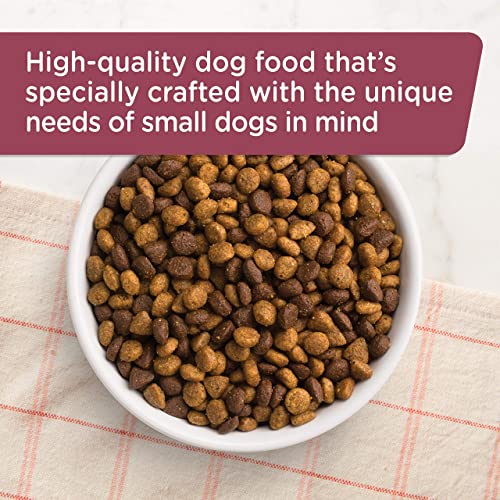 Rachael Ray Nutrish Little Bites Dry Dog Food, Chicken & Veggies Recipe for Small Breeds, 6 Pounds