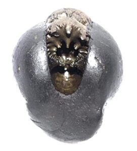 rudrakshguru wooden bhuvaneshwari shaligram (black, 2.50 x 2-inch)