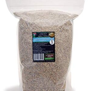 Kentucky 31 K31 Tall Fescue Grass Seed by Eretz - CHOOSE SIZE! State Certified, No fillers, No Weed or Other Crop Seeds (5lbs)