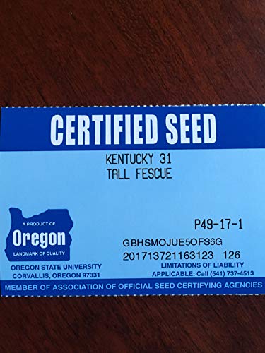 Kentucky 31 K31 Tall Fescue Grass Seed by Eretz - CHOOSE SIZE! State Certified, No fillers, No Weed or Other Crop Seeds (5lbs)