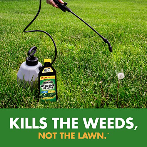 Spectracide Weed Stop For Lawns Concentrate, Kills Weed Roots, Not The Lawn, 40 fl Ounce