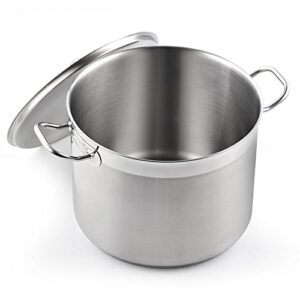 cooks standard stockpots stainless steel, 8 quart professional grade stock pot with lid, silver