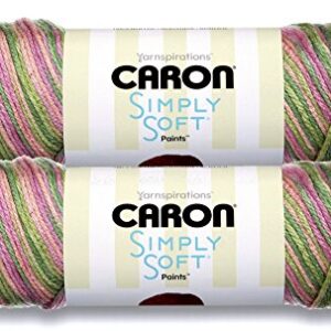 Caron Simply Soft Bulk Buy Paints 100% Acrylic Yarn (2-Pack) ~ 5 oz. Skeins (Rose Garden)