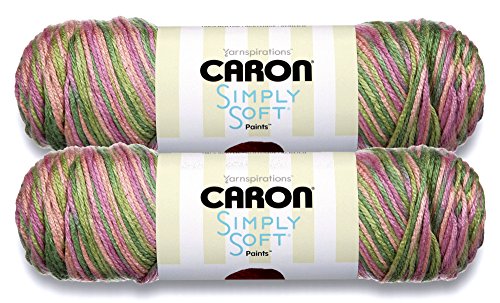 Caron Simply Soft Bulk Buy Paints 100% Acrylic Yarn (2-Pack) ~ 5 oz. Skeins (Rose Garden)