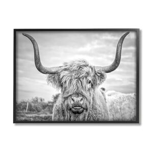 stupell industries black and white highland cow photograph framed giclee art design by joe reynolds, 16.00" x 20.00"