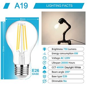 Ascher 60 Watt Equivalent, E26 LED Filament Light Bulbs, Daylight White 4000K, Non-Dimmable, Classic Clear Glass, A19 Light Bulb with 80+ CRI, 6-Pack