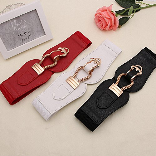 Women Wide Belts Elastic Cinch Stretch Band Wrap Metal Buckle Decorative Retro High Waist Belt for Dresses