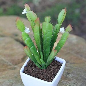 Bluecell 2pcs Real Looking Artificial Cactus Artificial Cacti Plant DIY Material for Home Decoration Flower Arrangement