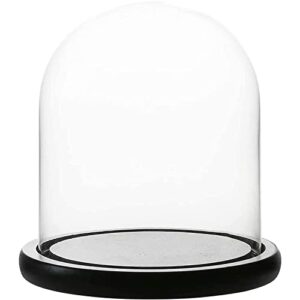 whole housewares | decorative clear glass dome | cloche glass dome for diy snow globes | tabletop centerpiece | cloche bell jar display case | black mdf base, 5.7" d x 6.5" h