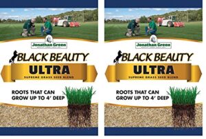 jonathan green black beauty ultra grass seed, 1-pound (1-pound 2-pack)