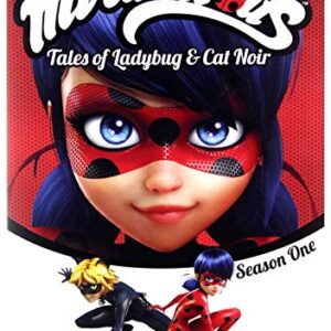 Miraculous Tales of Ladybug & Cat Noir: The Complete Season One [4 disc set] [DVD]