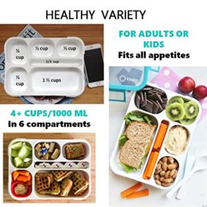 Bento-Box Lunch Boxes for Kids, Boys, Adults. Leakproof Lunch Set, Bentoboxes for School or Work. Portion Containers. BPA Free. 6 Compartments. Fork & Spoon. Blue & Navy Blue Large