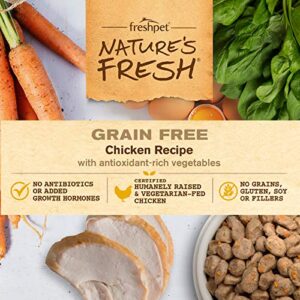 FreshPet Grain-Free Chicken Recipe for Dogs, 5lb