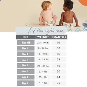 The Honest Company Clean Conscious Diapers | Plant-Based, Sustainable | Sky's the Limit + Wingin It | Club Box, Size 6 (35+ lbs), 44 Count