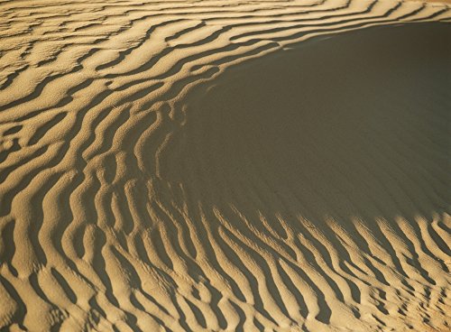 Posterazzi Ripples In Sand Dune Close Up Poster Print, (36 x 26)