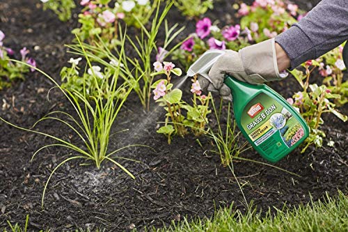 Ortho 0438580 Grass B Gon Garden Grass Killer Ready-to-Use, 24-Ounce (3)