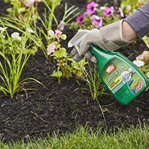 Ortho 0438580 Grass B Gon Garden Grass Killer Ready-to-Use, 24-Ounce (3)