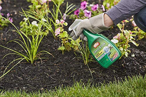 Ortho 0438580 Grass B Gon Garden Grass Killer Ready-to-Use, 24-Ounce (3)