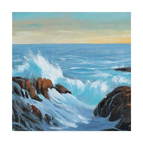 Trademark Fine Art Rip Tide II by Tim Otoole, 24x24-Inch, 24x24