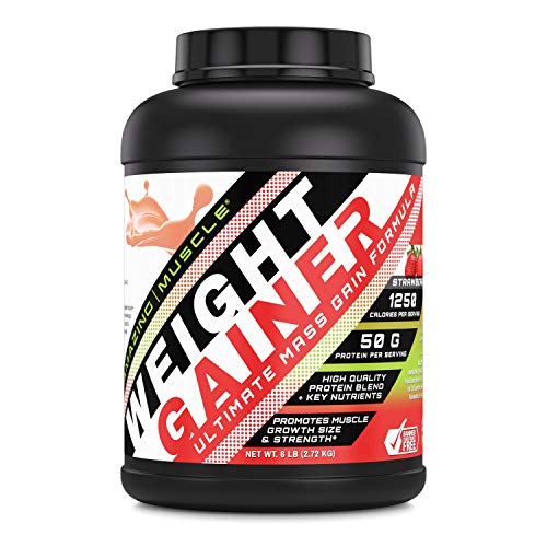 Amazing Muscle - Whey Protein Gainer - 6 Lb - Supports Lean Muscle Growth & Workout Recovery (Strawberry)