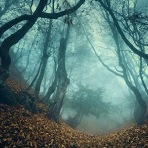 Leowefowa Misty Forest Halloween Theme Backdorp 10x8ft Vinyl Photography Backgroud Autumn Landscape Fairy Wonderland Outdoor Cold Morning Halloween Holiday Child Adult Photo Shoot…