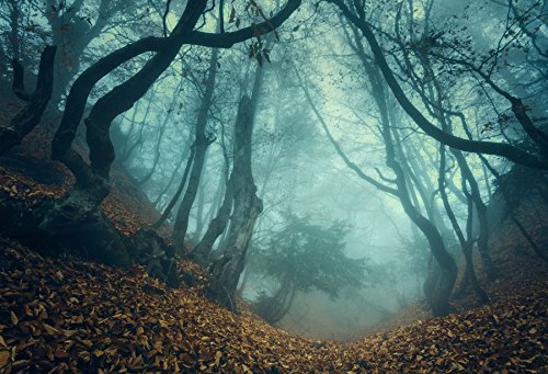 Leowefowa Misty Forest Halloween Theme Backdorp 10x8ft Vinyl Photography Backgroud Autumn Landscape Fairy Wonderland Outdoor Cold Morning Halloween Holiday Child Adult Photo Shoot…