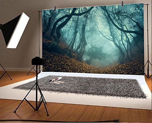 Leowefowa Misty Forest Halloween Theme Backdorp 10x8ft Vinyl Photography Backgroud Autumn Landscape Fairy Wonderland Outdoor Cold Morning Halloween Holiday Child Adult Photo Shoot…