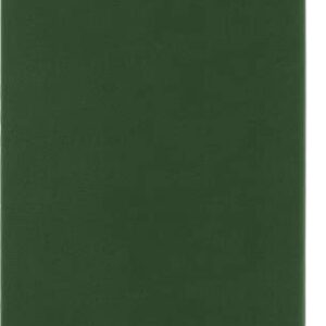 Moleskine Classic Notebook, Hard Cover, Large (5" x 8.25") Ruled/Lined, Myrtle Green, 240 Pages