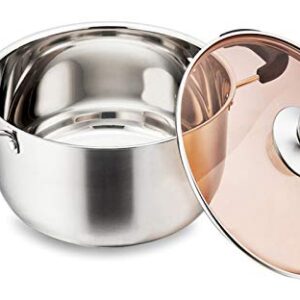 Stainless Steel Stock Pot, P&P CHEF 3 Quart Pot with Lid, Heat-Proof Double Handles - Sliver Stainless Steel Pot and Glass Lid