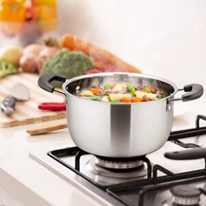 Stainless Steel Stock Pot, P&P CHEF 3 Quart Pot with Lid, Heat-Proof Double Handles - Sliver Stainless Steel Pot and Glass Lid