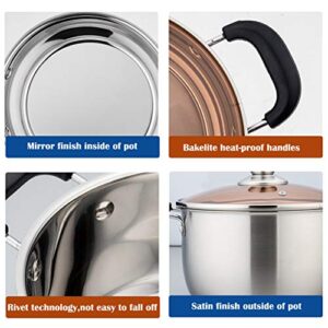 Stainless Steel Stock Pot, P&P CHEF 3 Quart Pot with Lid, Heat-Proof Double Handles - Sliver Stainless Steel Pot and Glass Lid