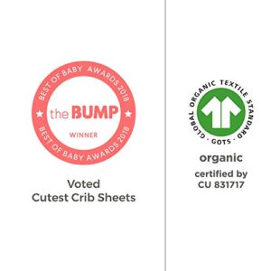 Burt's Bees Baby - Fitted Crib Sheet, Boys & Unisex 100% Organic Cotton Crib Sheet for Standard Crib and Toddler Mattresses (Guide the Way)28x52 Inch (Pack of 1)