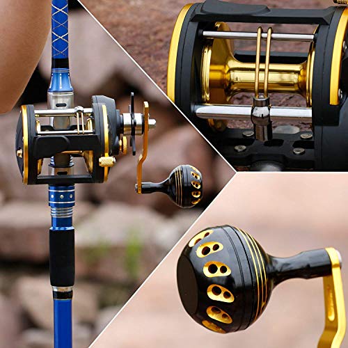 Burning Shark Trolling Reel Saltwater Level Wind Reels, Drag Reels Boat Fishing Ocean Fishing for Sea Bass Grouper Salmon