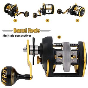 Burning Shark Trolling Reel Saltwater Level Wind Reels, Drag Reels Boat Fishing Ocean Fishing for Sea Bass Grouper Salmon