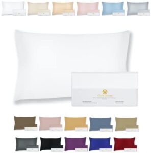 beauty of orient silk pillowcase for hair and skin, 19 momme, hidden zipper, premium handcrafted mulberry silk pillow cases, hypoallergenic (1pc king - 20" x 36", natural undyed white)