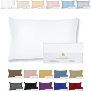 Beauty of Orient Silk Pillowcase for Hair and Skin, 19 Momme, Hidden Zipper, Premium Handcrafted Mulberry Silk Pillow Cases, Hypoallergenic (1pc King - 20" x 36", Natural Undyed White)