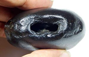 phoenix888 laxmi narsimha shaligram purnachakra purnagarbha shaligram nepal kali gandki