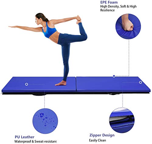 Reunion G 2" Thick Gymnastics Exercise Mat, 2-Fold Folding Gymnastics Tumbling Mat with Carrying Handles, Exercise Panel Mats with Hook & Loop Fasteners for Gym, Aerobics, Yoga, Martial Arts (Blue)