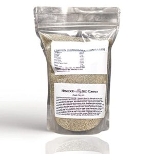 hancock seed co. common bermuda grass seeds- raw & unhulled - 5 lbs.