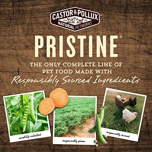 Castor & Pollux Pristine Grain Free Cage-Free Duck Recipe Morsels in Gravy Cat Food Pouches, 3 Oz (Pack of 24)