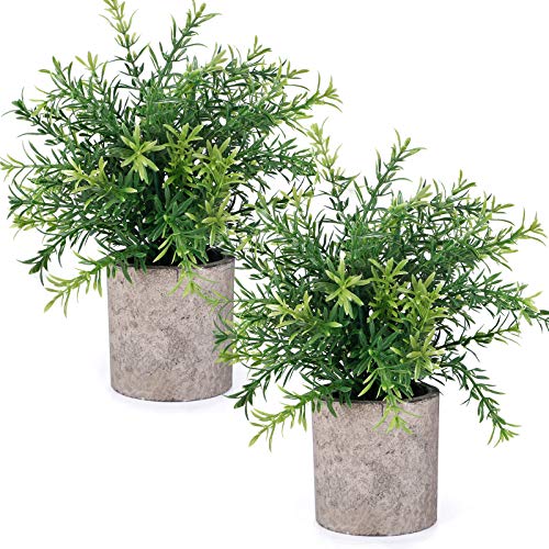 CEWOR 2 Pack Artificial Plants Mini Potted Plants Fake Bamboo Leaves Faux Rosemary Small House Plants for Home Office Desk Room Decor