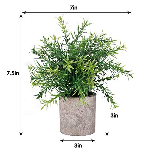 CEWOR 2 Pack Artificial Plants Mini Potted Plants Fake Bamboo Leaves Faux Rosemary Small House Plants for Home Office Desk Room Decor